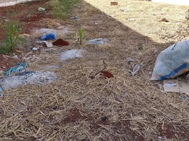 Terreno / Lote para Venda em Uberlândia/MG Santa Mônica