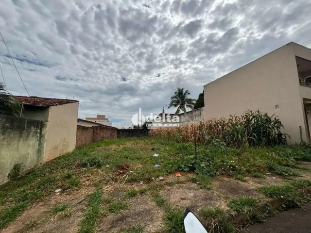 Terreno / Lote para Venda em Uberlândia/MG Santa Mônica