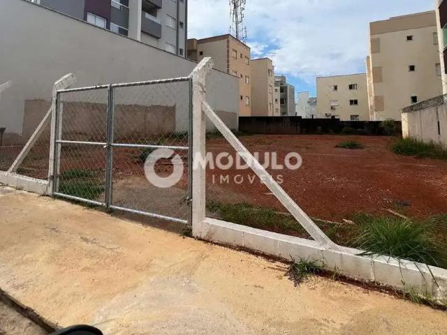 Terreno / Lote para Venda em Uberlândia/MG Santa Mônica