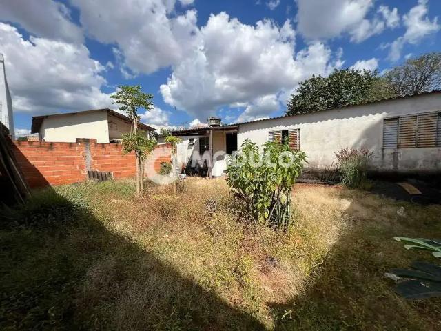 Terreno / Lote para Venda em Uberlândia/MG Santa Mônica