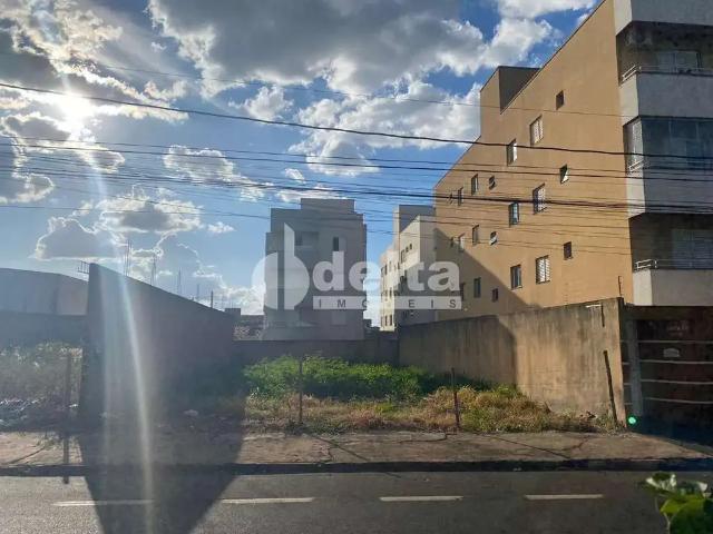 Terreno / Lote para Venda em Uberlândia/MG Santa Mônica
