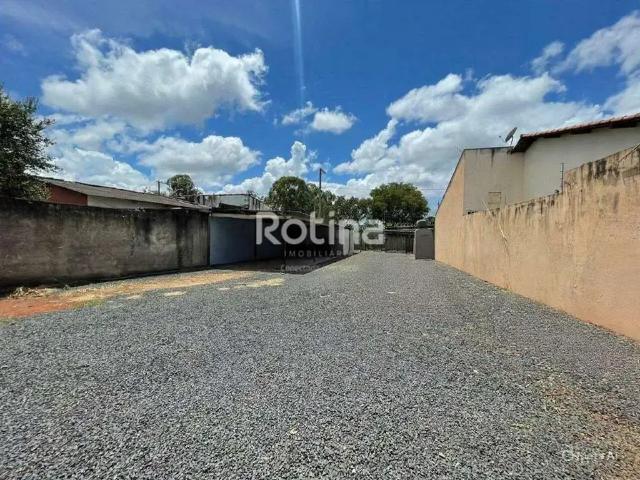 Terreno / Lote para Venda em Uberlândia/MG Santa Mônica