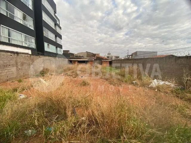 Terreno / Lote para Venda em Uberlândia/MG Santa Mônica