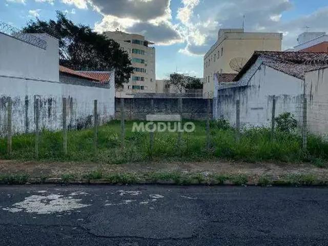Terreno / Lote para Venda em Uberlândia/MG Santa Mônica