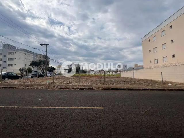 Terreno / Lote para Venda em Uberlândia/MG Santa Mônica