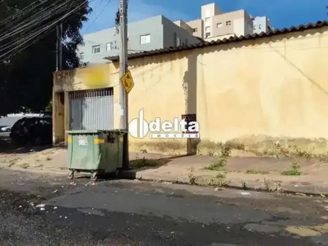 Terreno / Lote para Venda em Uberlândia/MG Santa Mônica