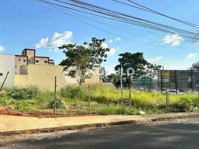 Terreno / Lote para Venda em Uberlândia/MG Santa Mônica