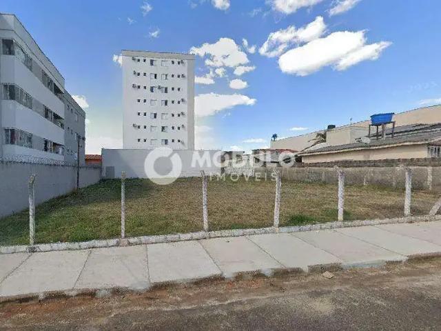 Terreno / Lote para Venda em Uberlândia/MG Santa Mônica