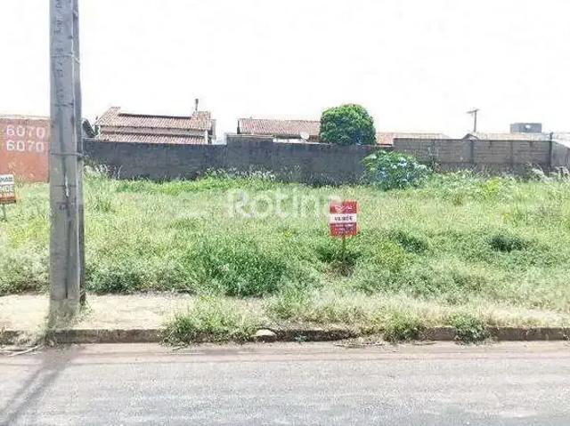 Terreno / Lote para Venda em Uberlândia/MG Santa Rosa