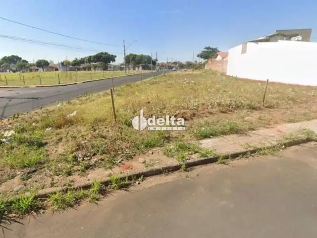 Terreno / Lote para Venda em Uberlândia/MG Santa Rosa