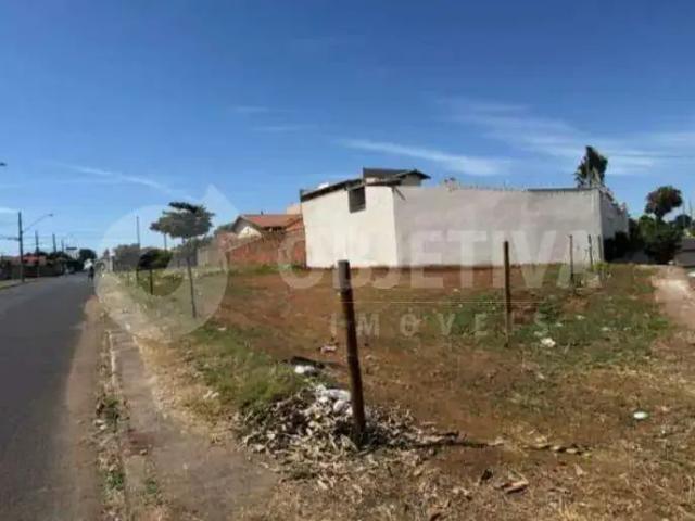Terreno / Lote para Venda em Uberlândia/MG Santa Rosa