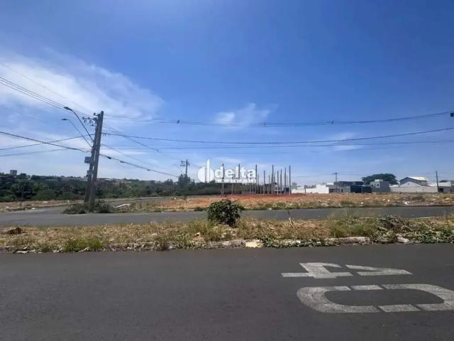 Terreno / Lote para Venda em Uberlândia/MG Santa Rosa