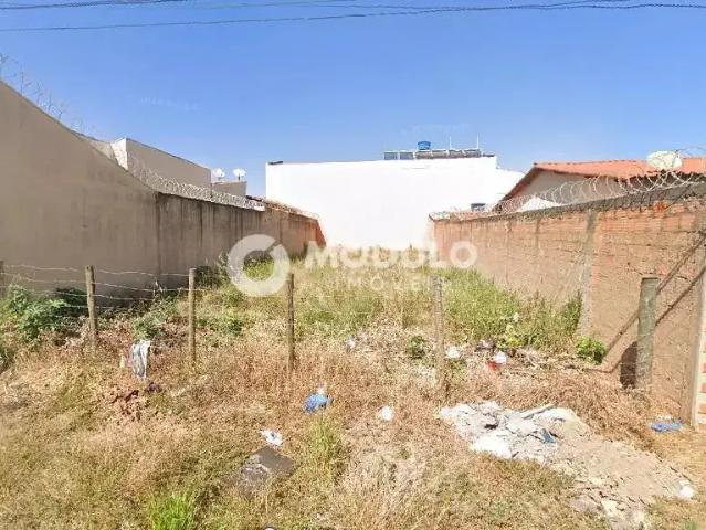 Terreno / Lote para Venda em Uberlândia/MG Santa Rosa