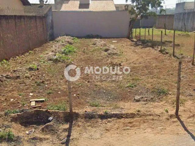Terreno / Lote para Venda em Uberlândia/MG Santa Rosa