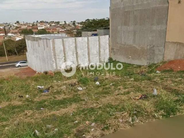 Terreno / Lote para Venda em Uberlândia/MG Santa Rosa