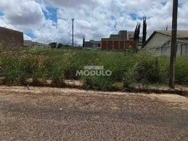 Terreno / Lote para Venda em Uberlândia/MG Saraiva