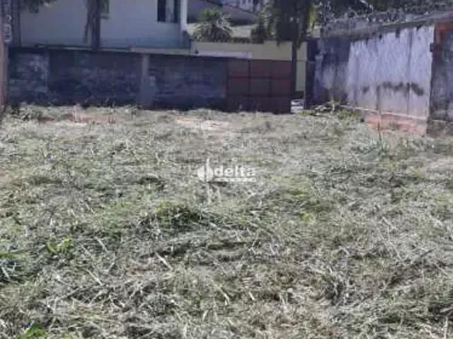 Terreno / Lote para Venda em Uberlândia/MG Saraiva