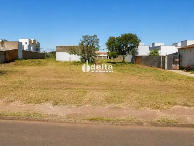 Terreno / Lote para Venda em Uberlândia/MG Shopping Park