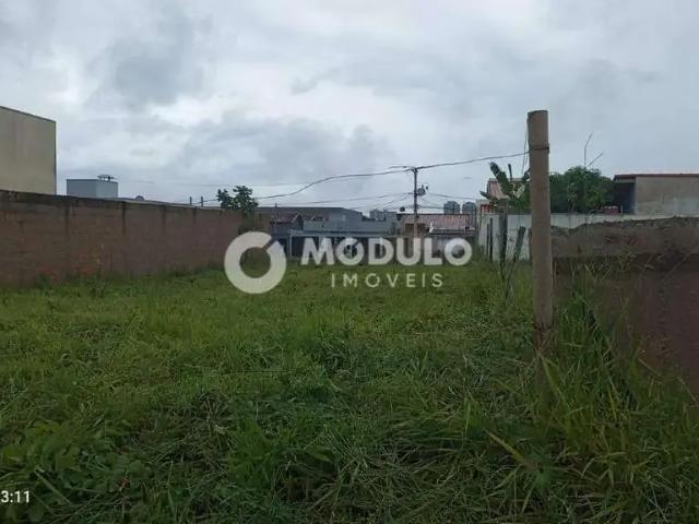 Terreno / Lote para Venda em Uberlândia/MG Shopping Park