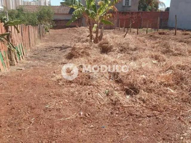 Terreno / Lote para Venda em Uberlândia/MG Shopping Park