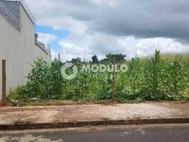 Terreno / Lote para Venda em Uberlândia/MG Shopping Park