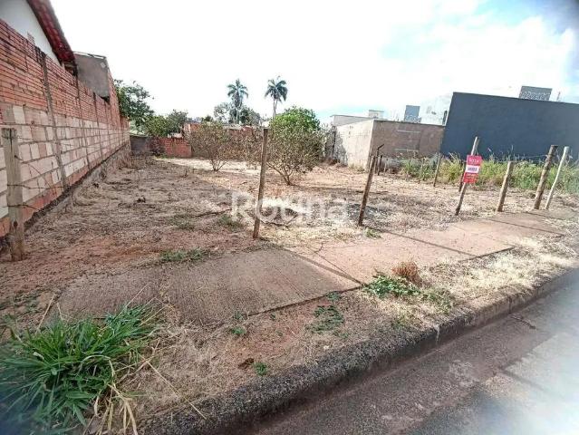 Terreno / Lote para Venda em Uberlândia/MG Shopping Park