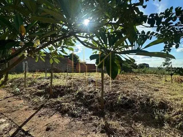 Terreno / Lote para Venda em Uberlândia/MG Shopping Park