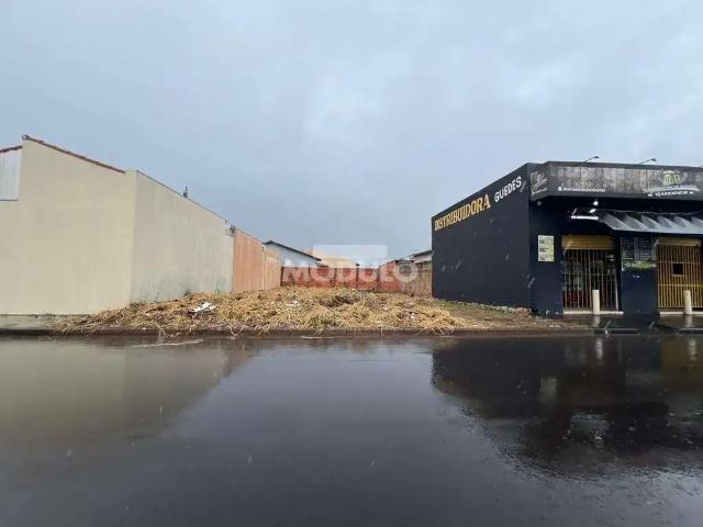 Terreno / Lote para Venda em Uberlândia/MG Shopping Park