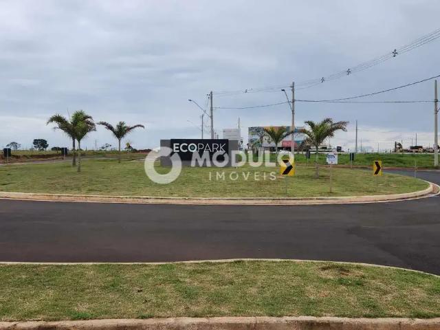 Terreno / Lote para Venda em Uberlândia/MG Shopping Park