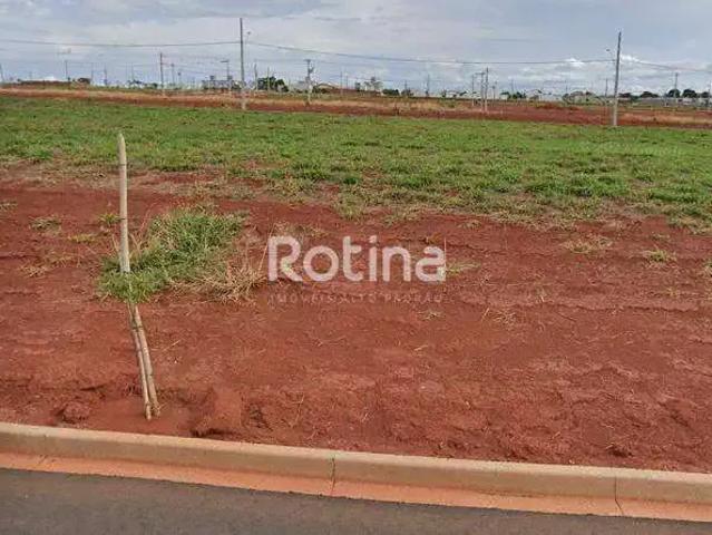 Terreno / Lote para Venda em Uberlândia/MG Portal do Vale