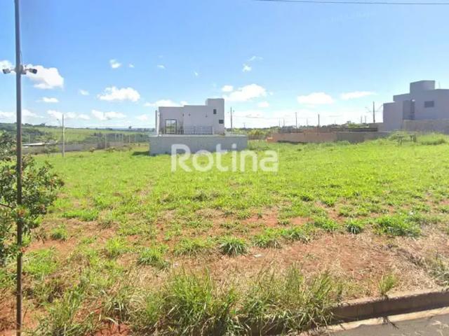Terreno / Lote para Venda em Uberlândia/MG Portal do Vale