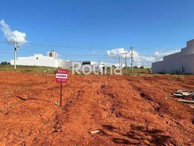 Terreno / Lote para Venda em Uberlândia/MG Portal do Vale