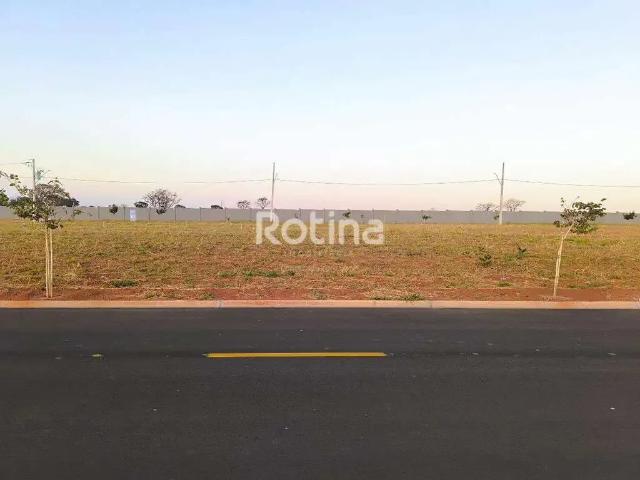 Terreno / Lote para Venda em Uberlândia/MG Portal do Vale