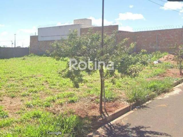 Terreno / Lote para Venda em Uberlândia/MG Portal do Vale