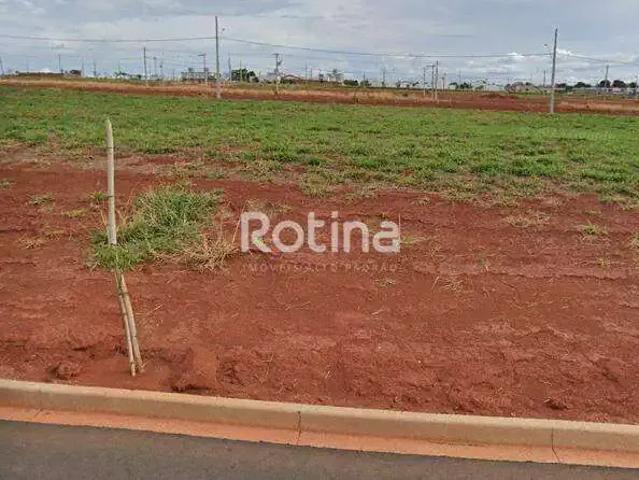 Terreno / Lote para Venda em Uberlândia/MG Portal do Vale