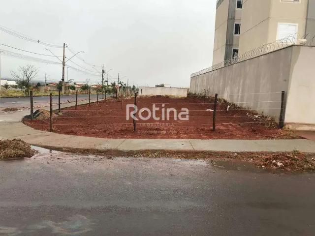 Terreno / Lote para Venda em Uberlândia/MG Portal do Vale