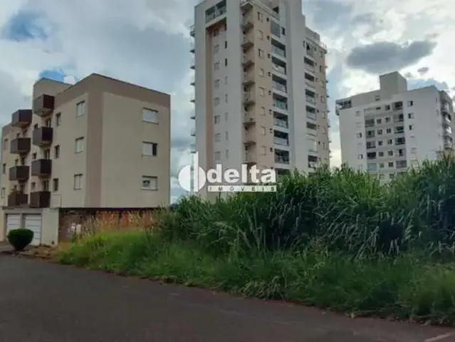 Terreno / Lote para Venda em Uberlândia/MG Patrimônio