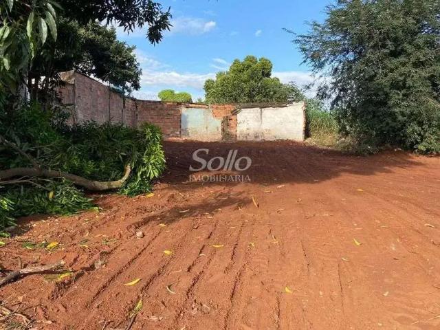 Terreno / Lote para Venda em Uberlândia/MG Pacaembu