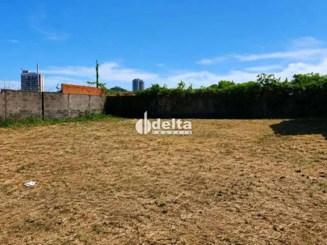 Terreno / Lote para Venda em Uberlândia/MG Pampulha