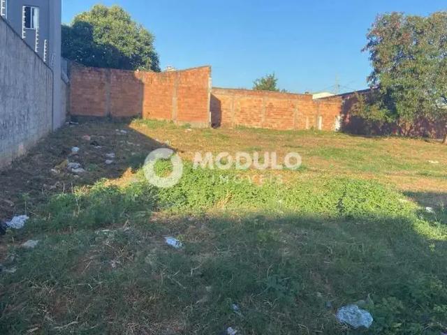 Terreno / Lote para Venda em Uberlândia/MG Pampulha