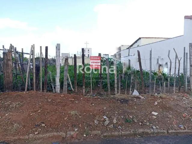 Terreno / Lote para Venda em Uberlândia/MG Pampulha