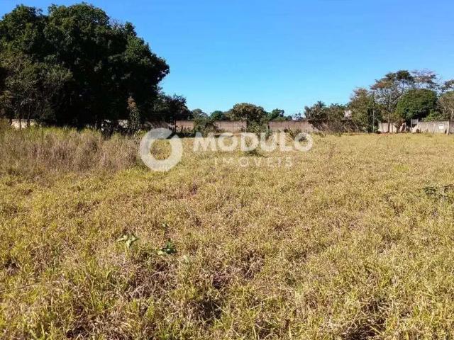 Terreno / Lote para Venda em Uberlândia/MG Panorama
