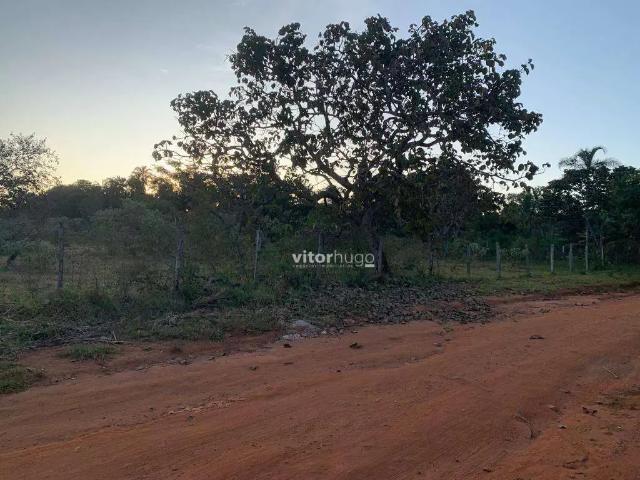 Terreno / Lote para Venda em Uberlândia/MG Panorama