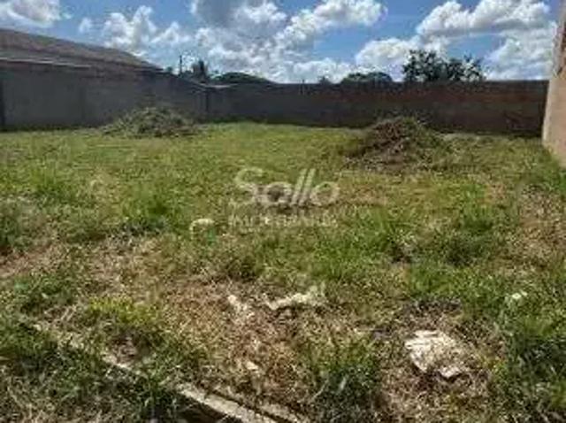 Terreno / Lote para Venda em Uberlândia/MG Panorama