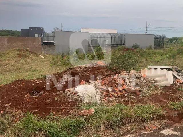 Terreno / Lote para Venda em Uberlândia/MG Park dos Ypês 1 Quartos