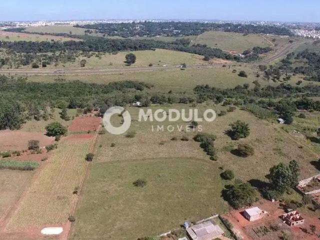 Terreno / Lote para Venda em Uberlândia/MG Parque das Andorinhas