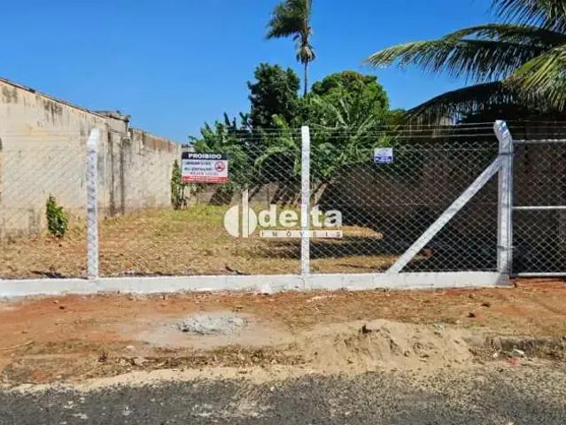 Terreno / Lote para Venda em Uberlândia/MG Presidente Roosevelt