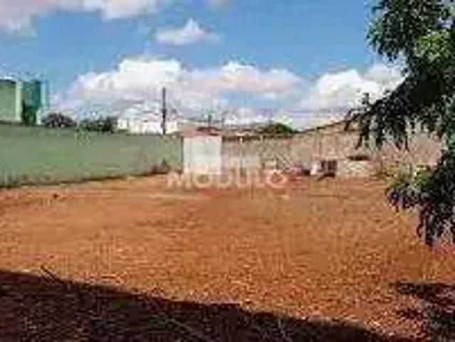 Terreno / Lote para Venda em Uberlândia/MG Presidente Roosevelt