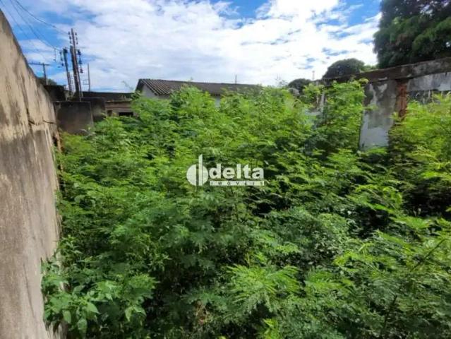 Terreno / Lote para Venda em Uberlândia/MG Presidente Roosevelt