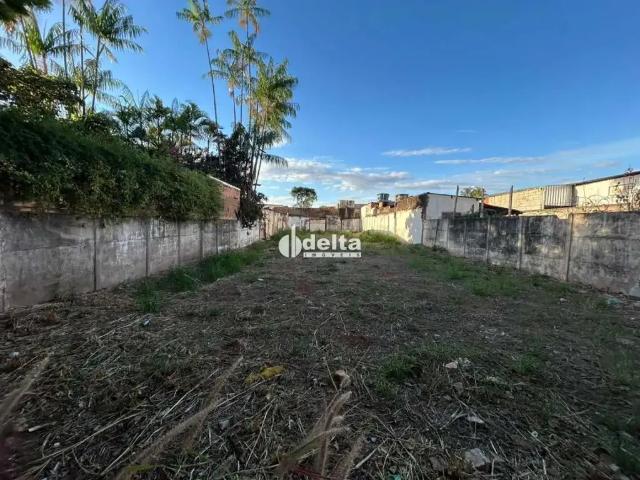 Terreno / Lote para Venda em Uberlândia/MG Presidente Roosevelt